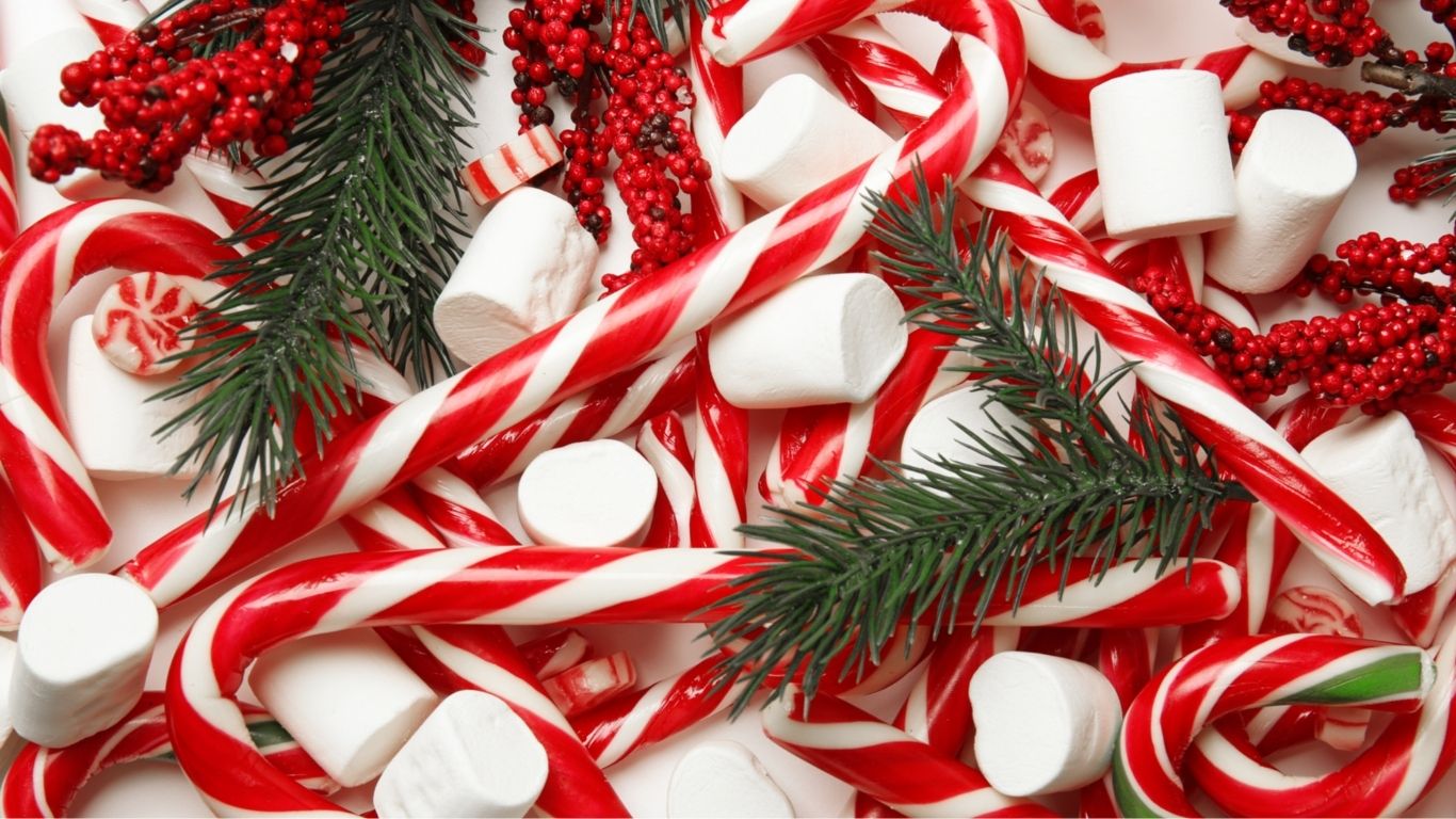 Sale – Abitare Store